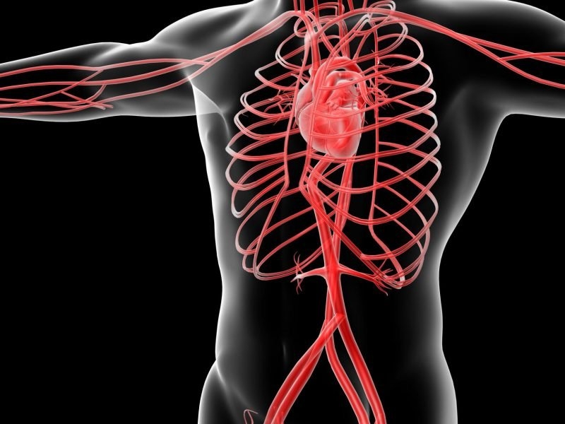 Recomendaciones para una buena salud cardiovascular